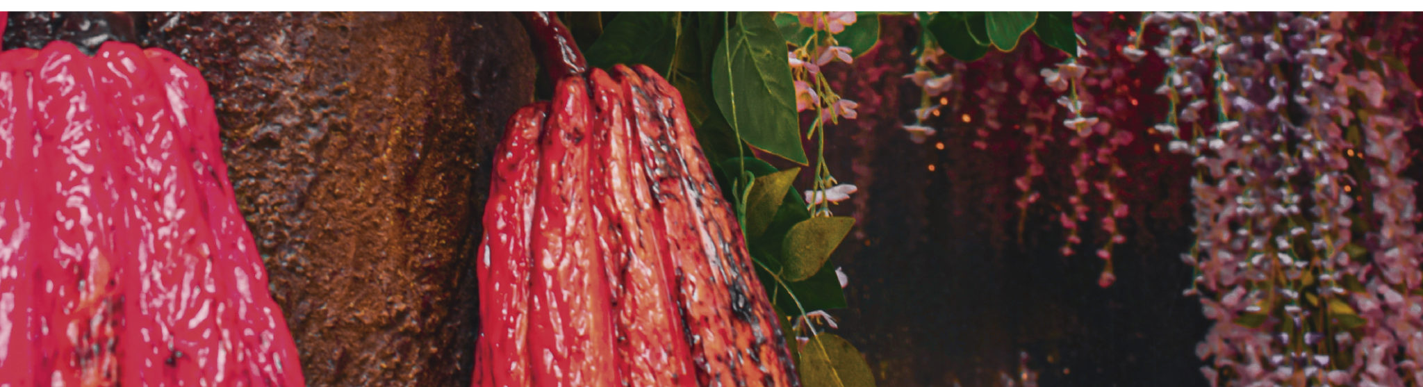 El sabor y aroma original del chocolate boyacense - Museo del chocolate