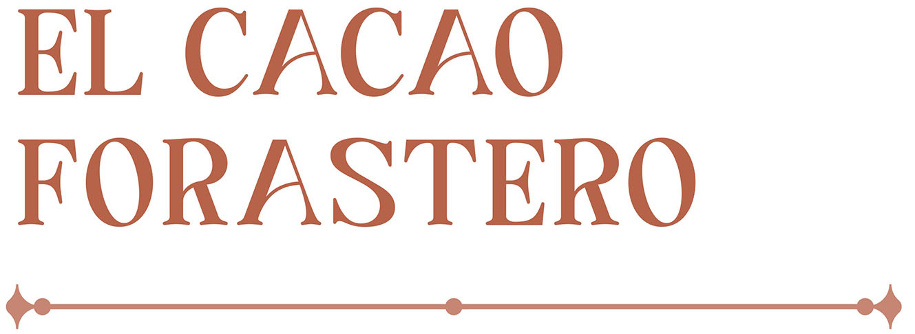 EL CACAO FORASTERO – Museo del chocolate